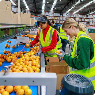 Discover Community Gro