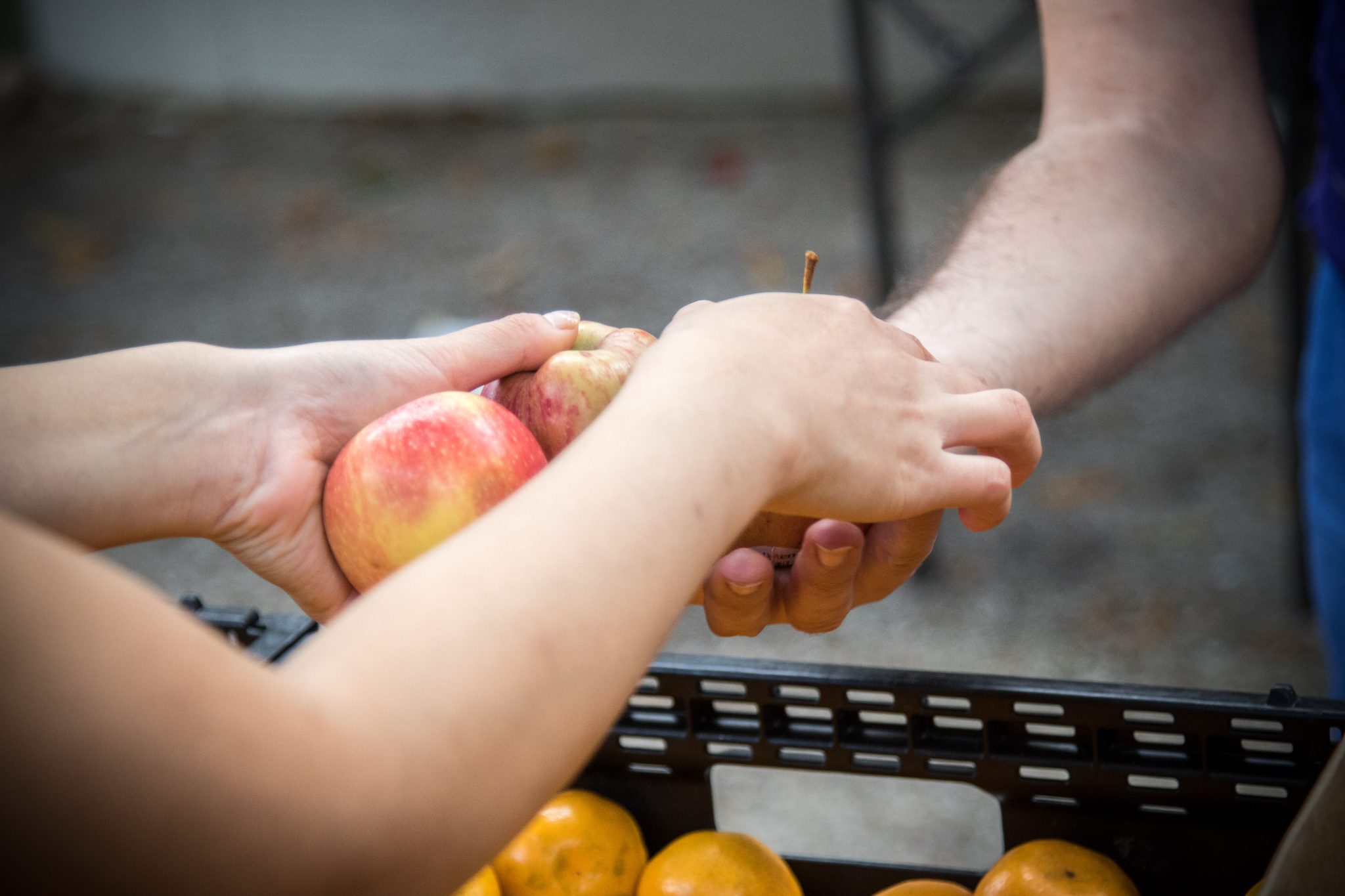 Let's Stop Food Waste Australia | Media Release